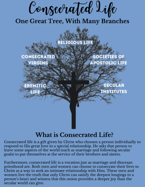 Classroom Materials - Vocation Ministry